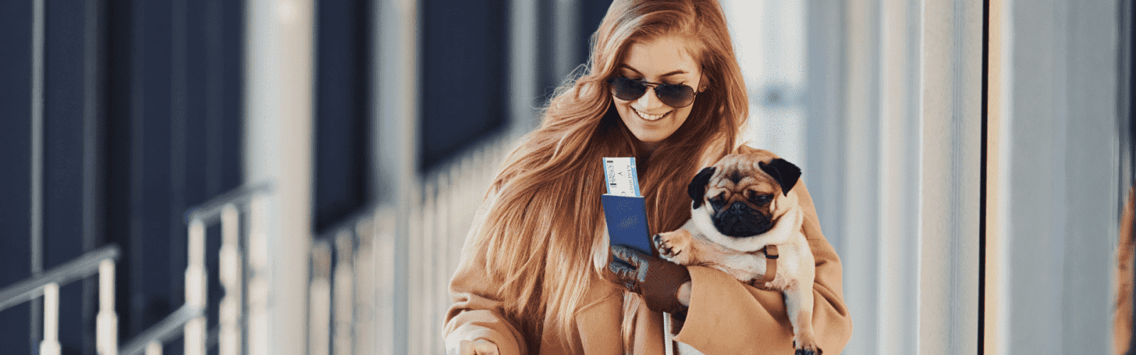 How to fly with a pet